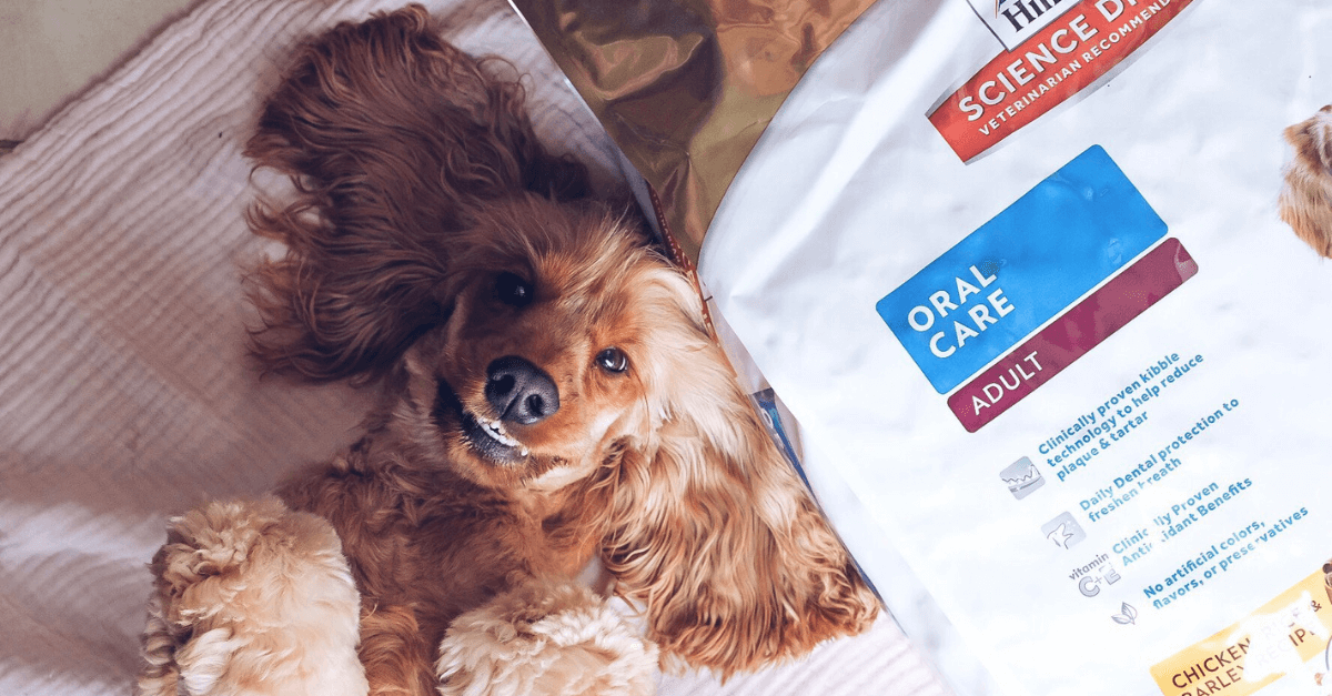 Power Pets are Hungry for Hills | Animals with Influence